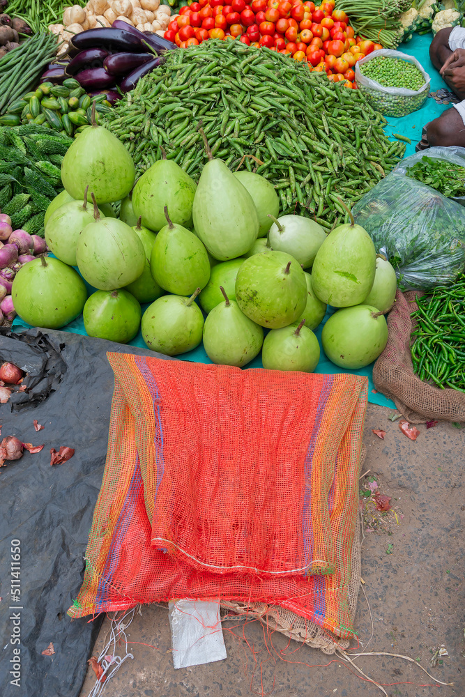 Calabash, bottle gourd, or white-flowered gourd, Lagenaria siceraria ...