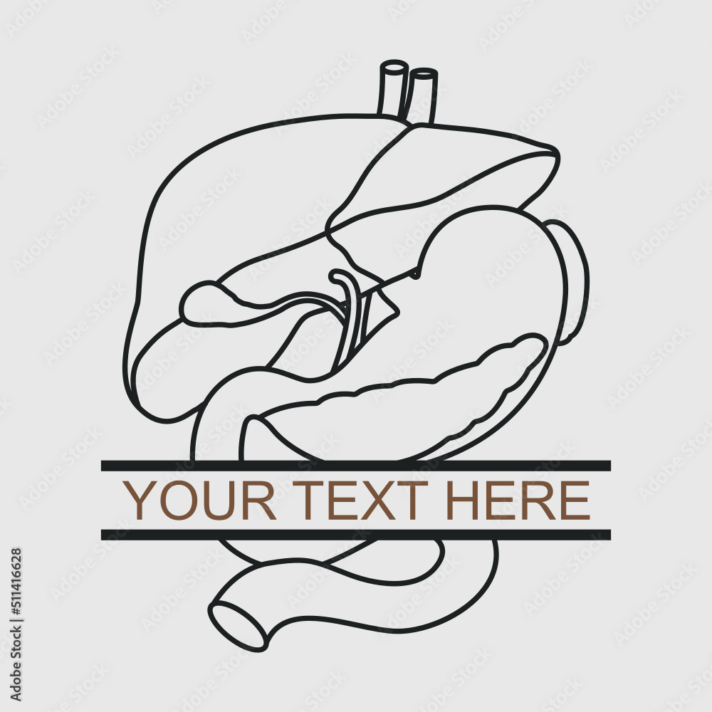 Vetor de Human Liver Anatomy Outline SVG Cut File, Human Liver Svg ...