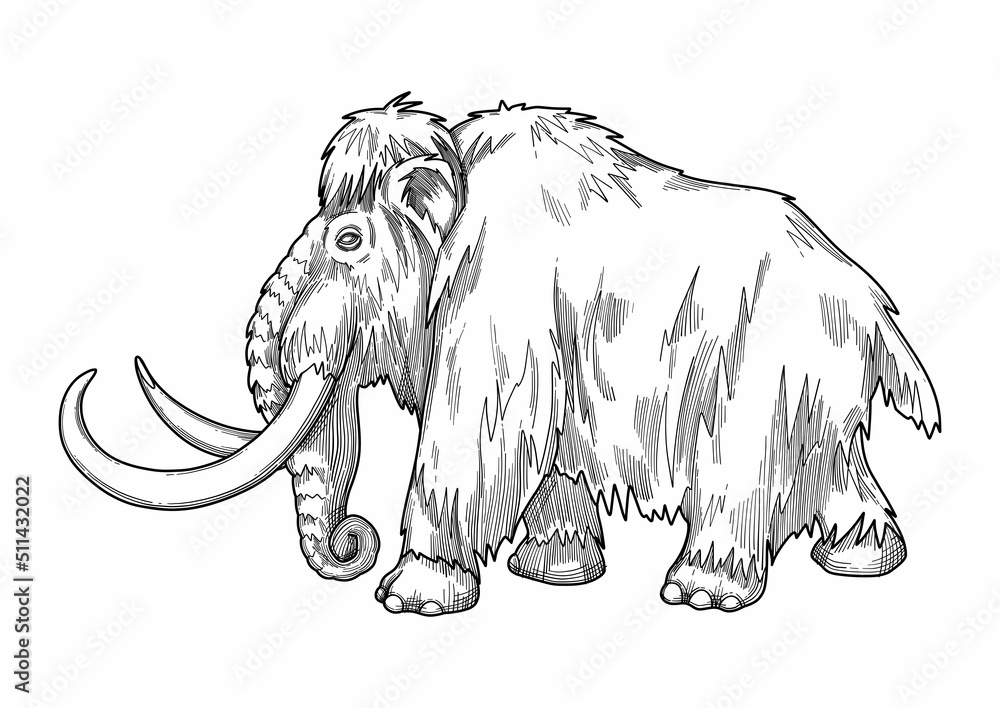 Poster Graphic a mammoth in a side view isolated on white background ...