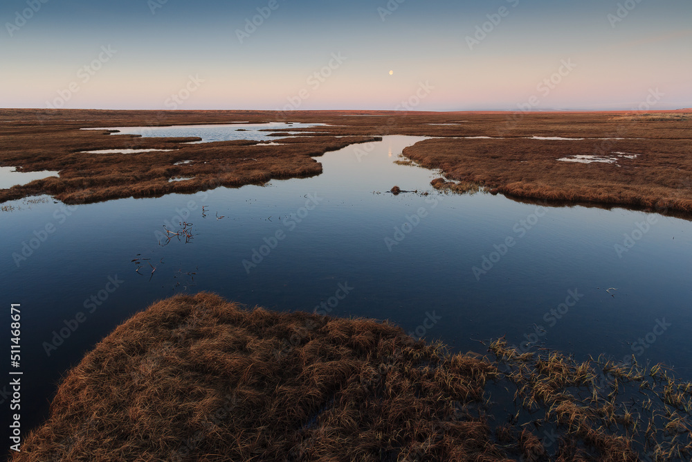 Swampy tundra in the floodplain. Bright June nights in the Arctic. The ...