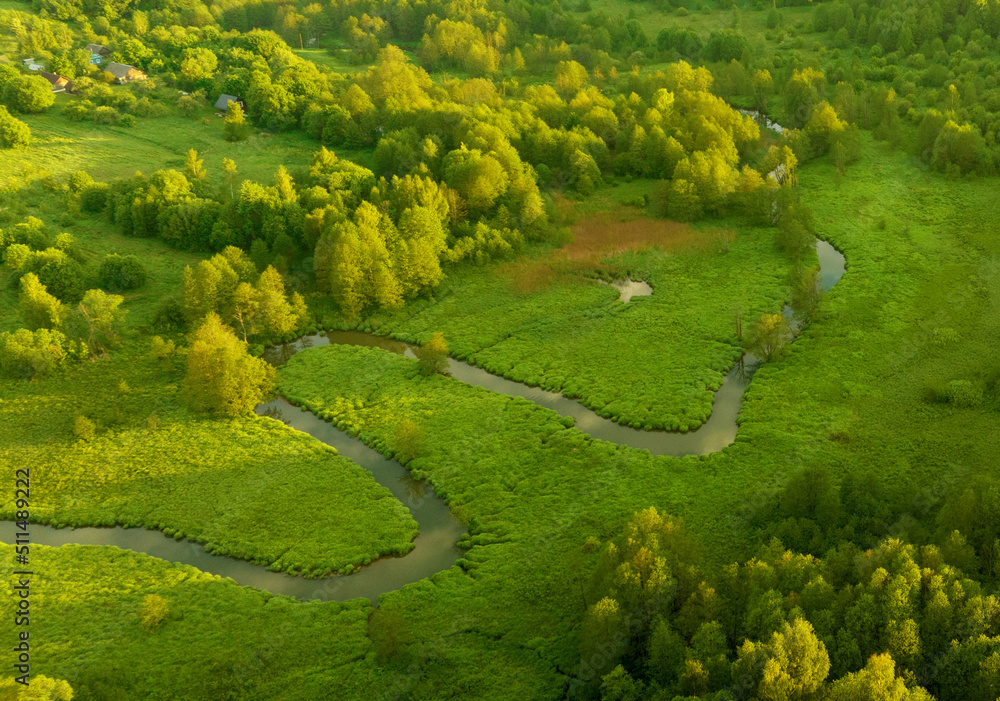 River in the wild. Aerial view of small river in green field and forest ...