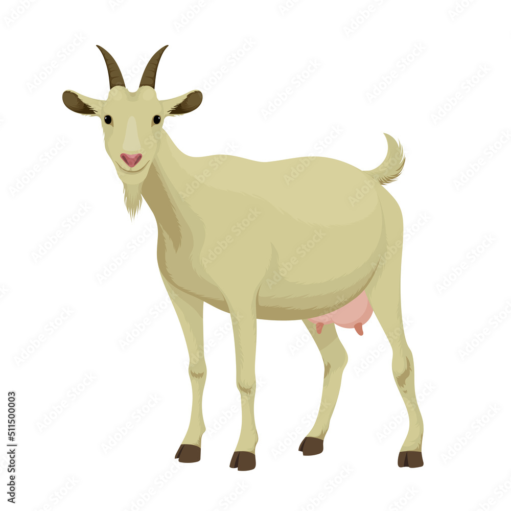 Goat Cute Character Clipart Cartoon Drawing Illustration Vector Stock ...
