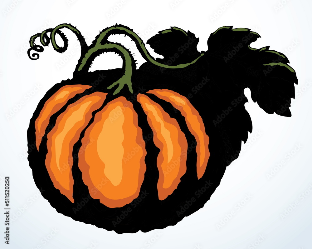 Big yellow pumpkin. Vector drawing Stock Vector | Adobe Stock