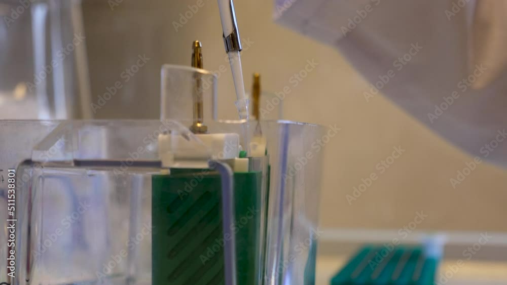 Sample drops into western blot wet tank apparatus. Side view. Close up ...