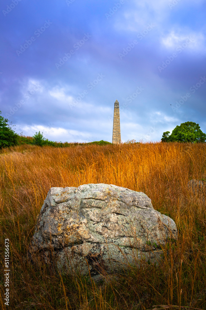 Foto de Glacial rock in the golden grass meadow at Fort Griswold ...