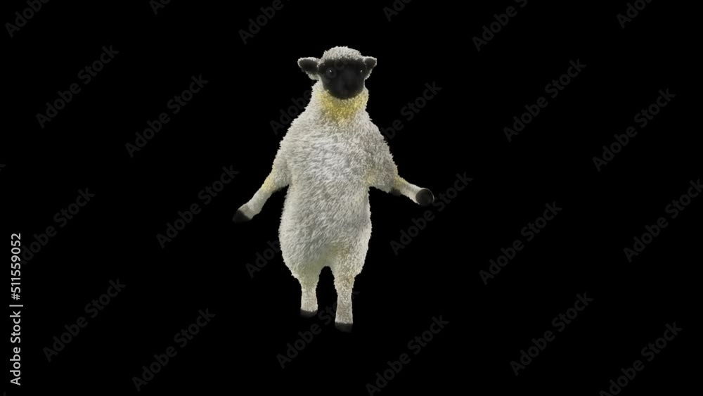 Sheep Dancing, Animal, 3d rendering, Animation Loop, cartoon, included ...