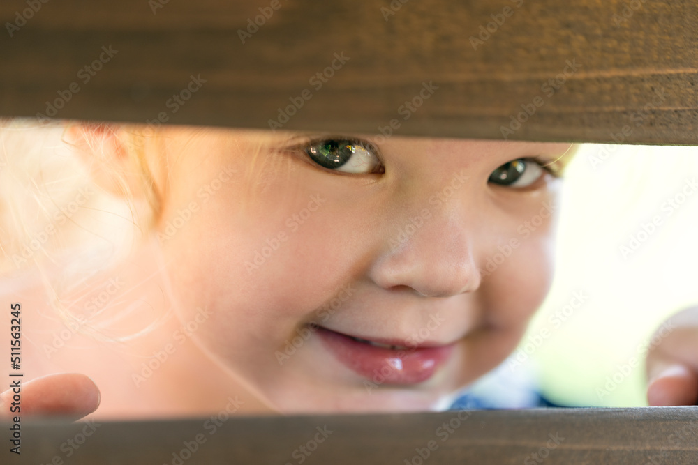 Baby Peeking Over Fence