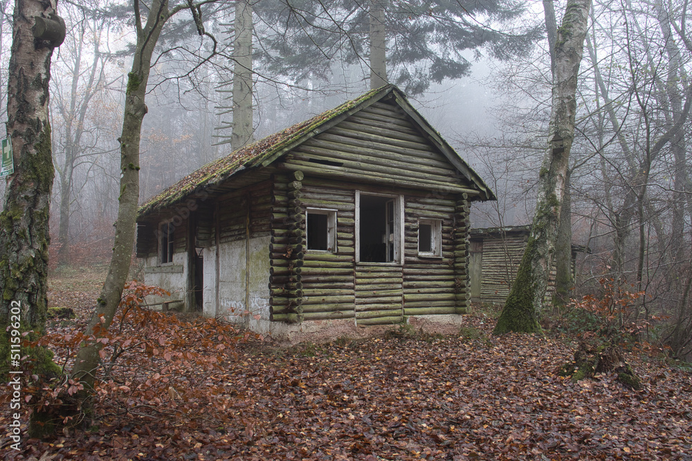 Side and front of abandoned cabin in the woods with an old wooden shed ...