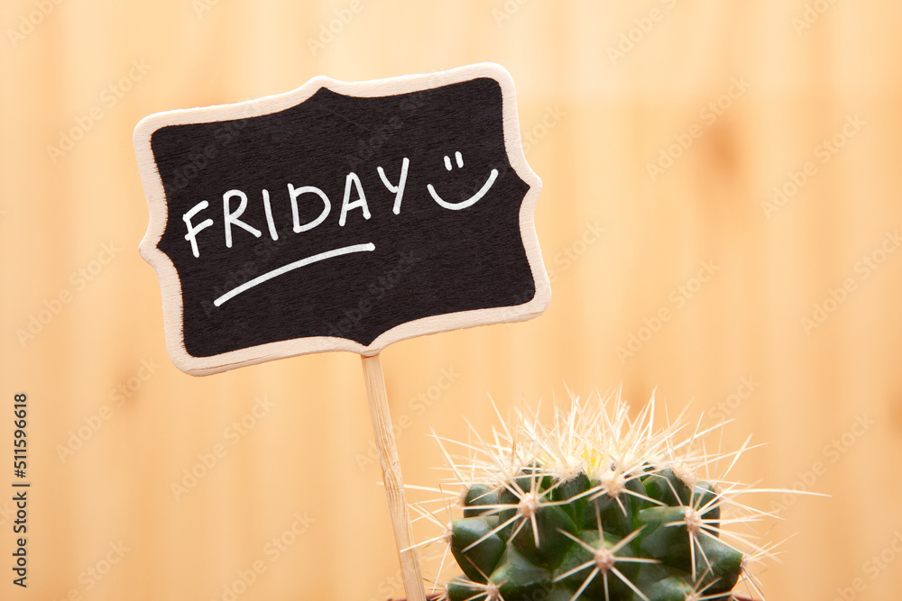 Friday - text with happy face smile on backboard and cactus, weekends ...