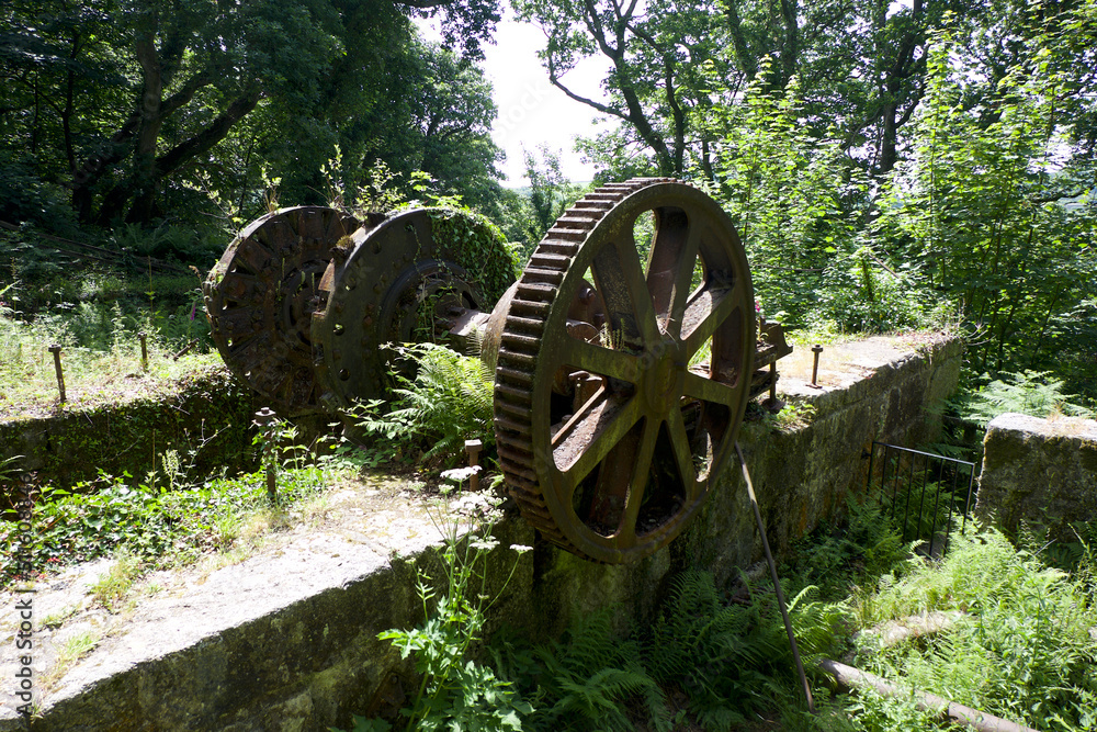 Foto de Treffry Viaduct 19th century industrial remains and World ...