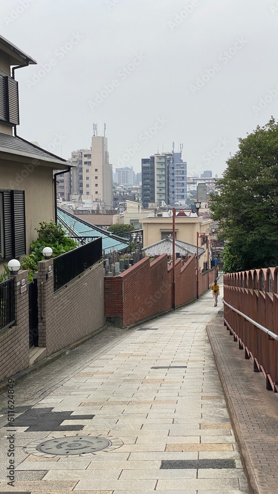 Street of Tokyo once was famous for viewing Mt. Fuji from this top of ...