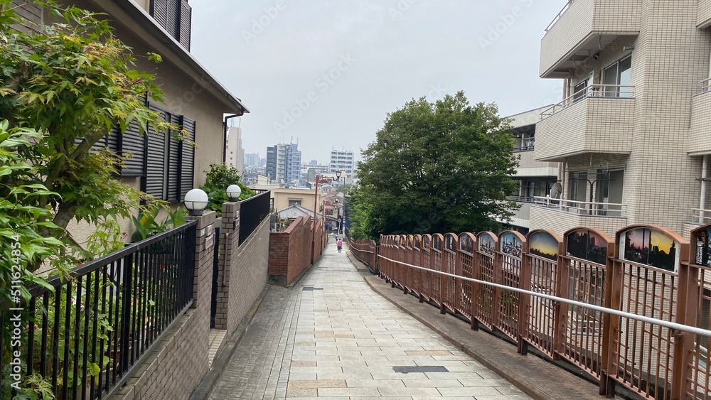 Street of Tokyo once was famous for viewing Mt. Fuji from this top of ...