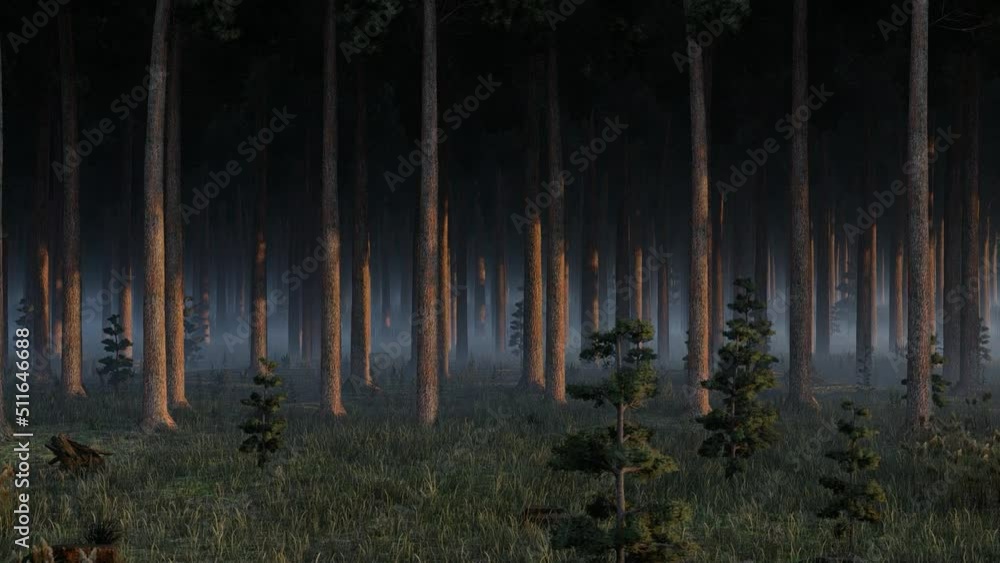 Realistic CGI render edge of pine forest. Environmental problems ...
