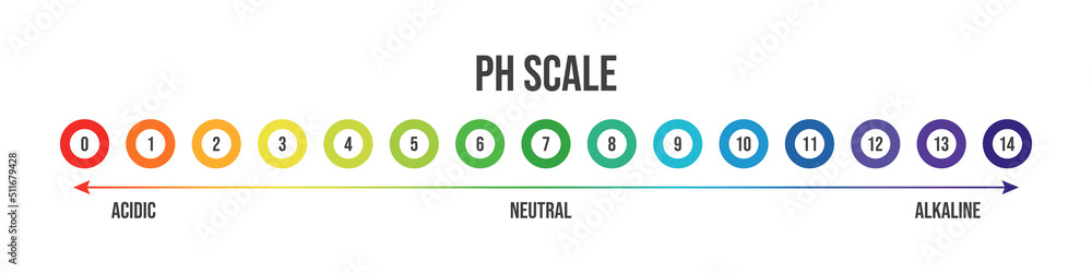 Vector illustration of pH scale isolated on white background. Color pH ...