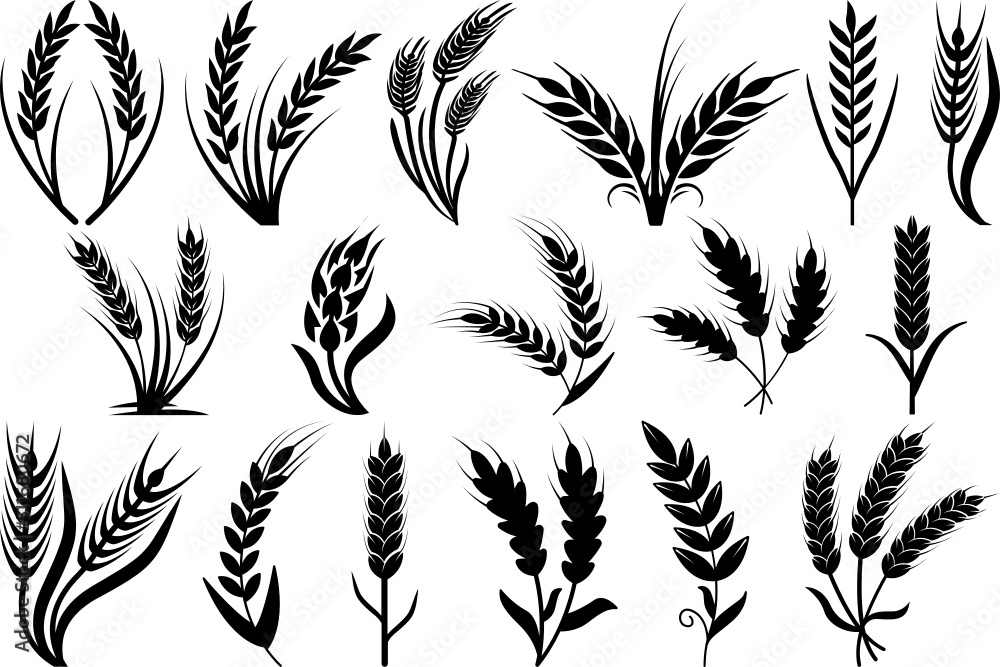 Wheat SVG Cut Files | Wheat Silhouette | Grain Svg | Barley Svg | Wheat ...
