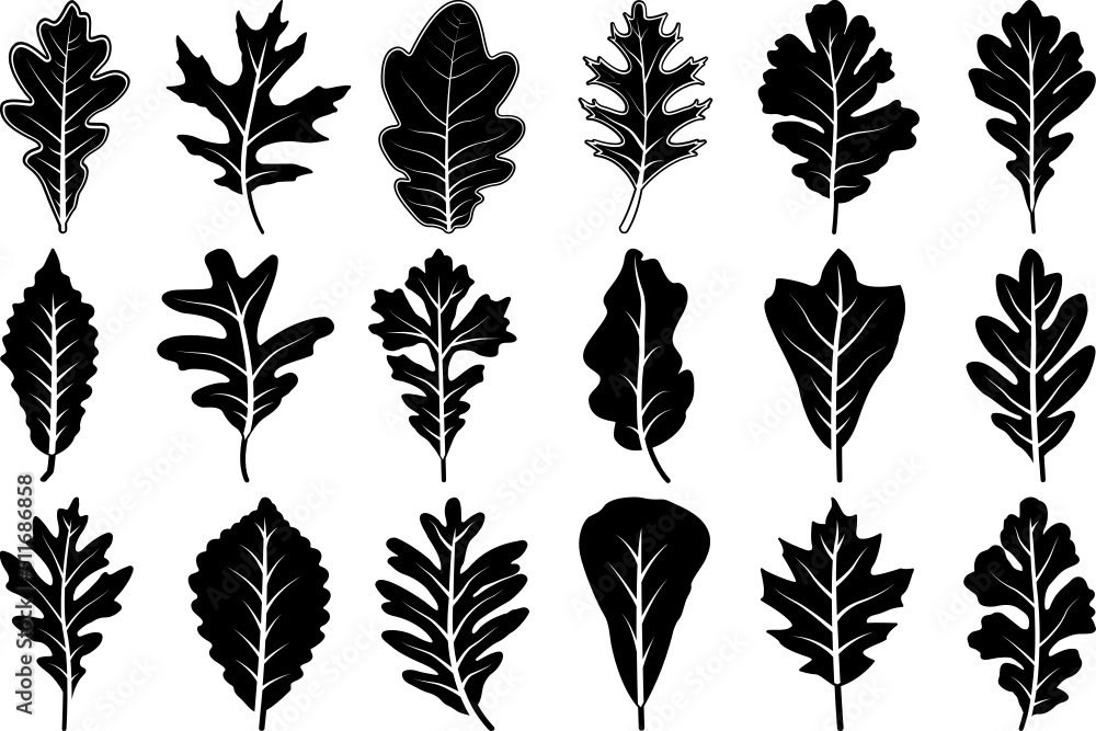 Oak Leaves SVG Cut Files | Oak Leaves Silhouette | Leaf Svg | Foliage ...