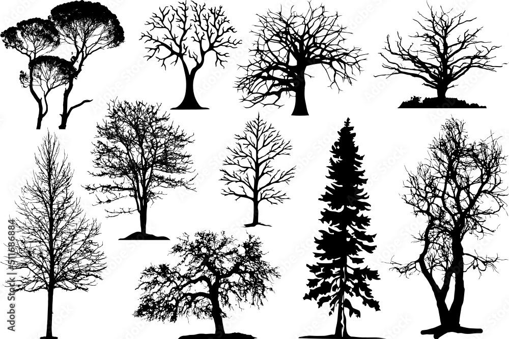 Winter Tree SVG Cut Files Winter Tree Silhouette Pine Svg Natural winter-tree-svg-cut-files-winter-tree-silhouette-pine-svg-natural