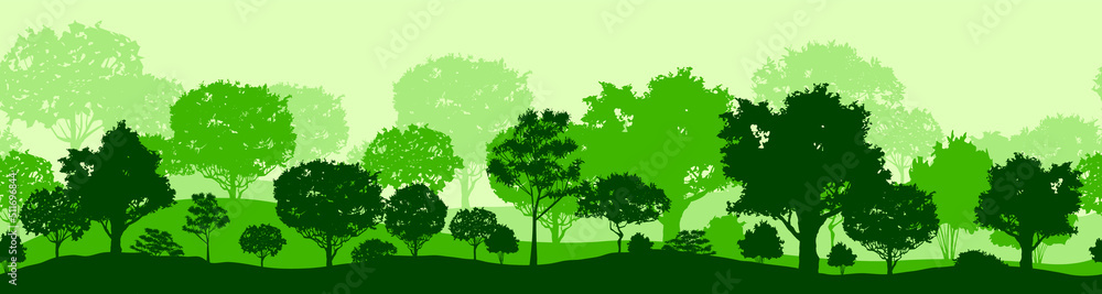 Forest panorama with deciduous trees. Horizontal panoramic seamless ...