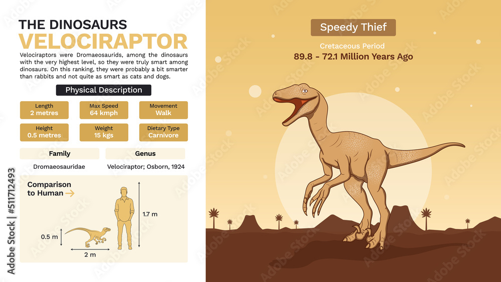 Description and Physical Characteristics of Velociraptor- Vector ...