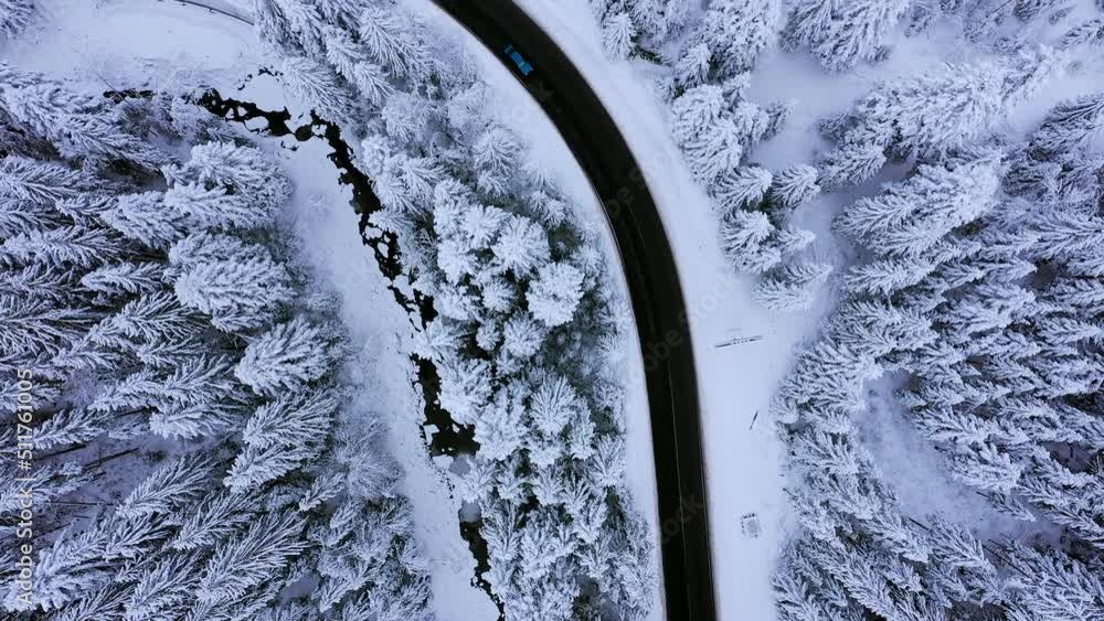 Aerial view of winter road and snow-covered pine trees. Stock Video ...