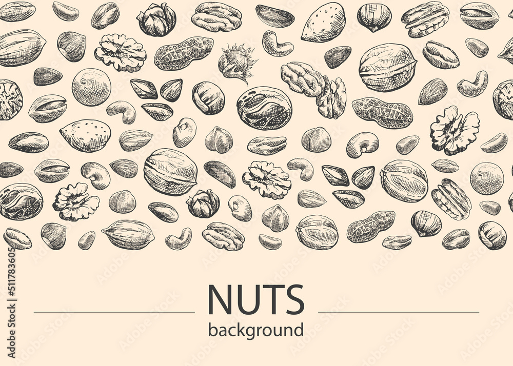 Seamless vector background. Nuts mix . Hand drawn elements. Sketch ...