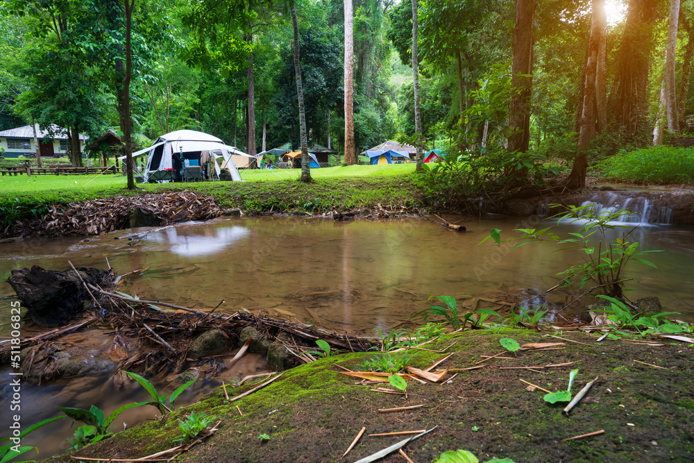 camping cabin tent on stream campground and tree in nature green forest ...