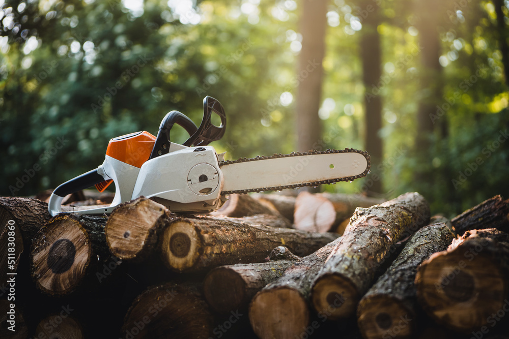 Cordless Chainsaw. Chainsaw on wooden stump or firewood. Firewood ...