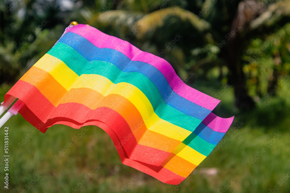 rainbow flags background, concept for lgbtq+ celebrations in pride ...