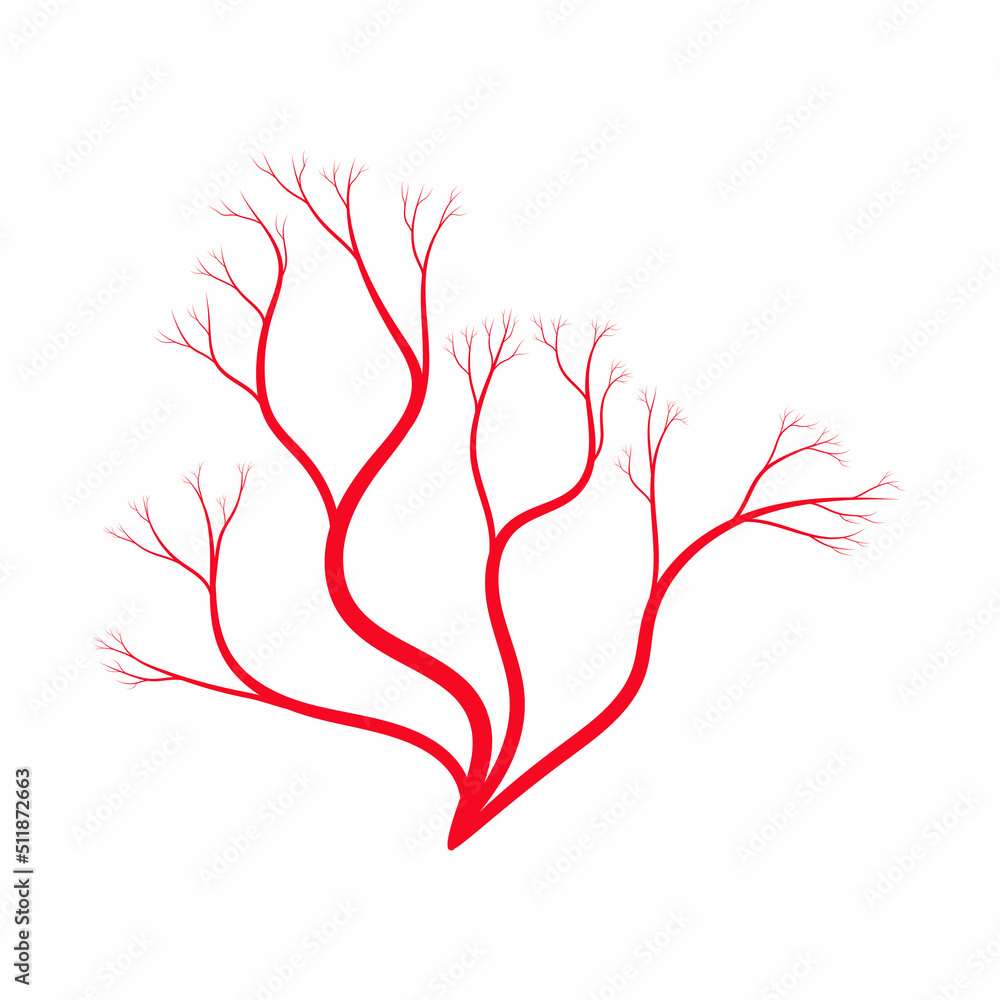 Human red vein icon. Blood system. Vessel, capillaries, arteries, eye ...