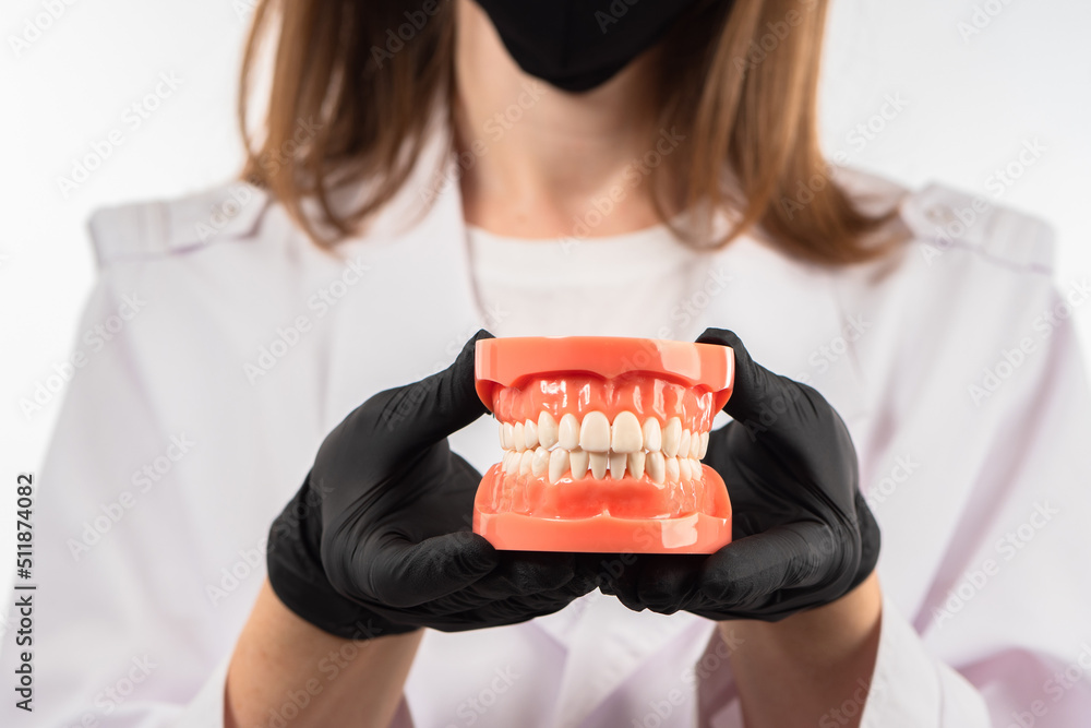 Foto de Prosthetic human jaws. Plastic prosthesis in hands of dentist ...