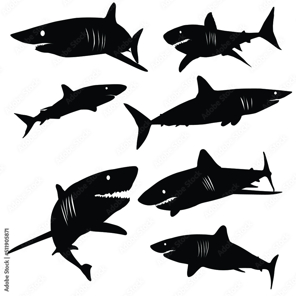shark movements sketch collection vectors Stock Vector | Adobe Stock