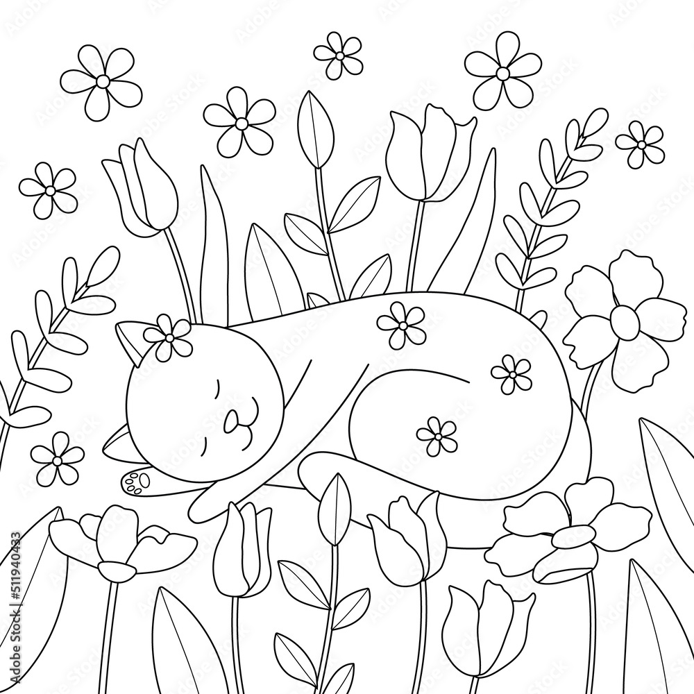 Kids Coloring Pages Sleeping Cat