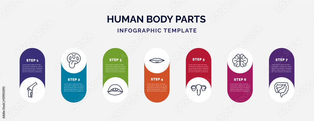 infographic template with icons and 7 options or steps. infographic for ...