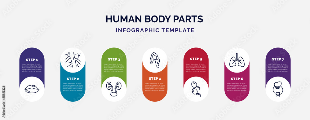 infographic template with icons and 7 options or steps. infographic for ...