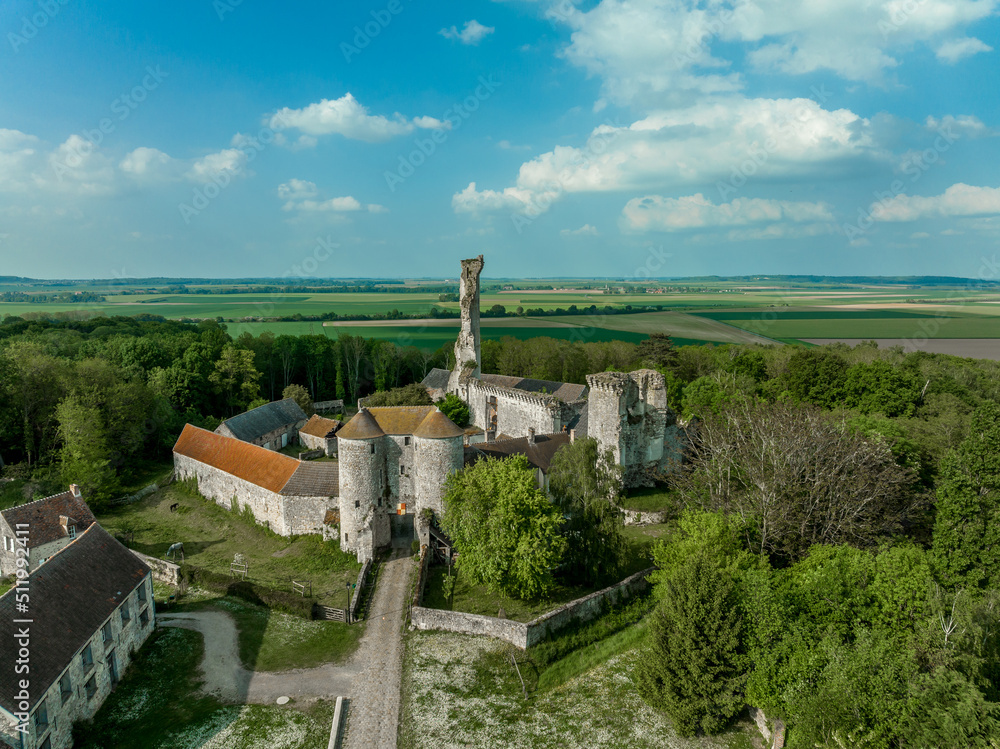 Aerial view of Montepilloy castle near Senlis France, remains of ...