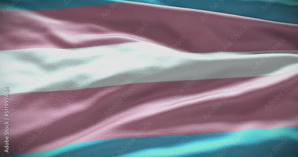 Vidéo Stock Transgender symbol flag background 4K graphic backdrop ...