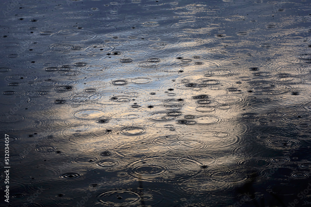 Rippled water surface during rain Stock Photo | Adobe Stock