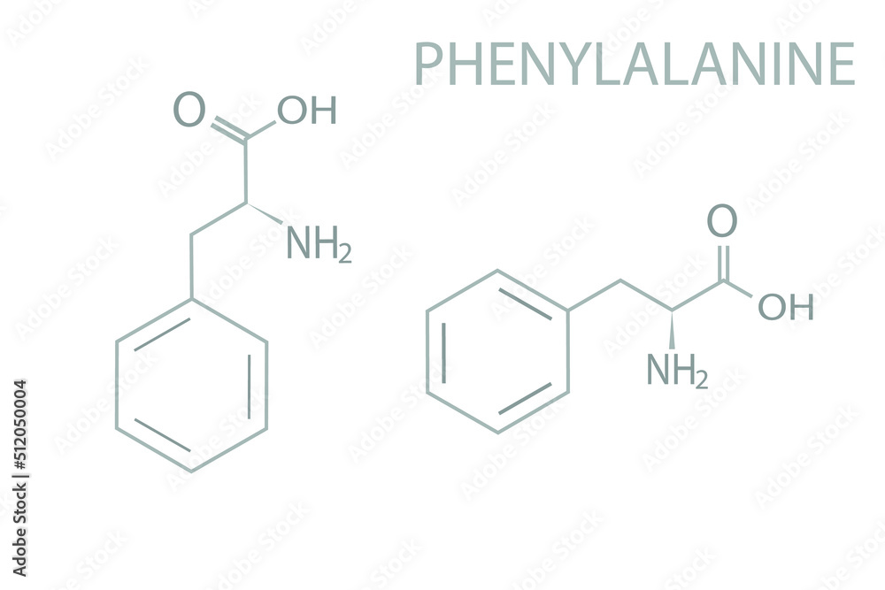 Phenylalanine molecular skeletal chemical formula. Stock Vector | Adobe ...