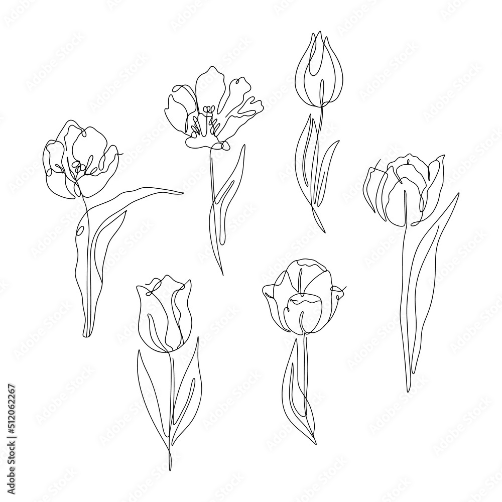 One line drawing tulips clipart set. Hand drawn single line flower ...