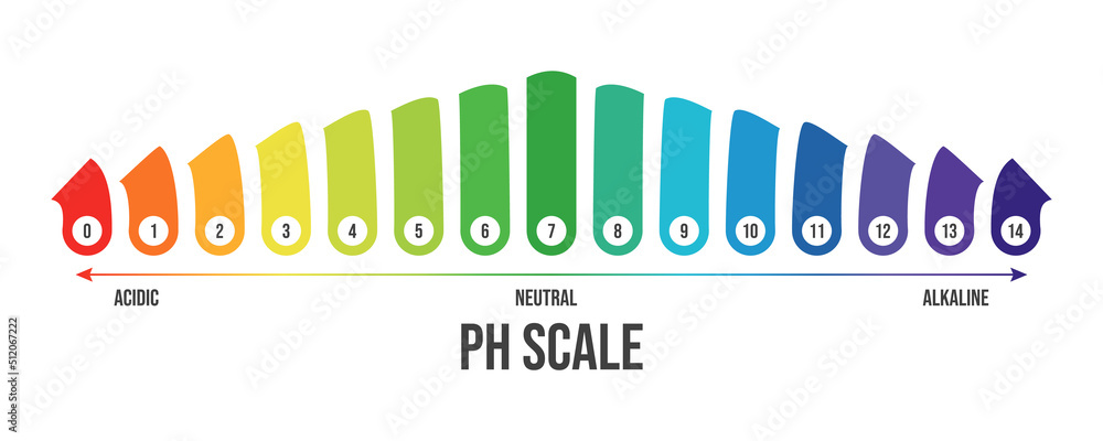 Vector illustration of pH scale isolated on white background. Color pH ...