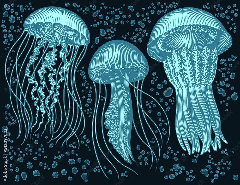 Jellyfish Design