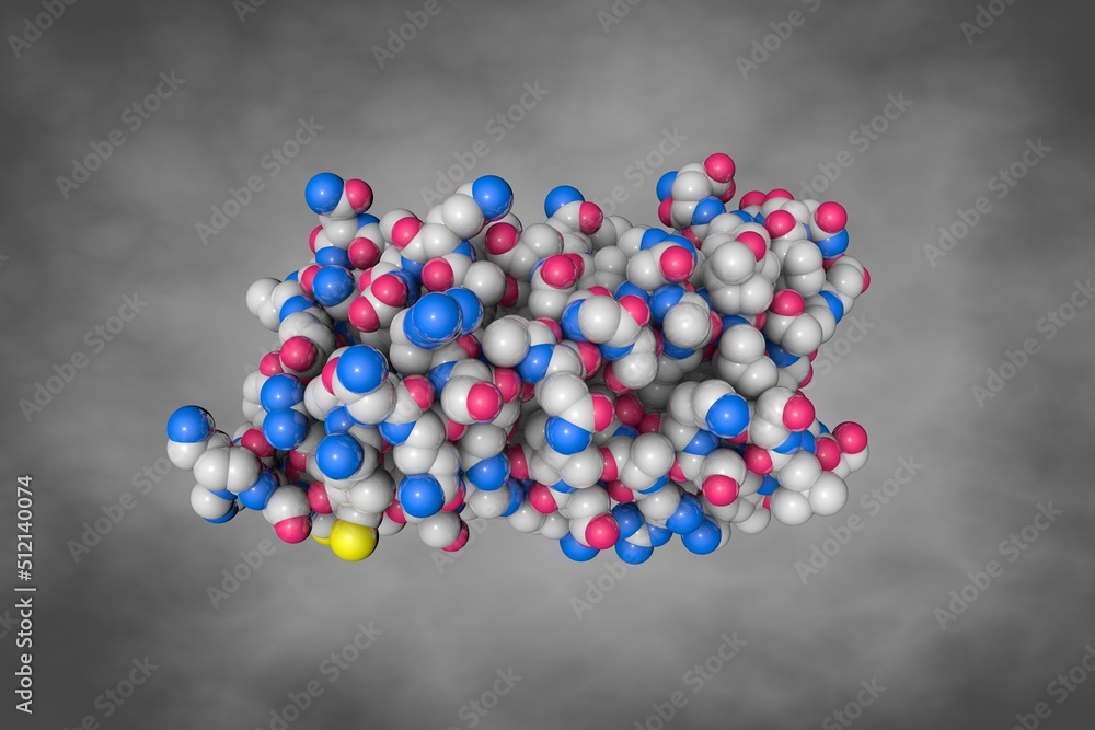 Human leukemia inhibitory factor. Space-filling molecular model on grey ...