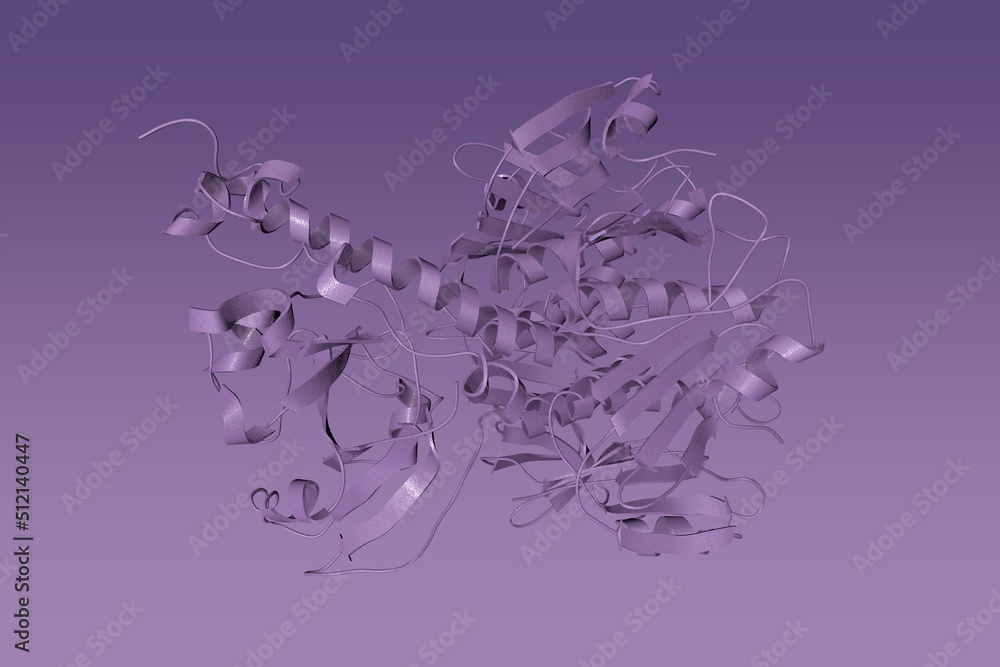 Scientific background. Crystal structure of cholera toxin on very peri ...
