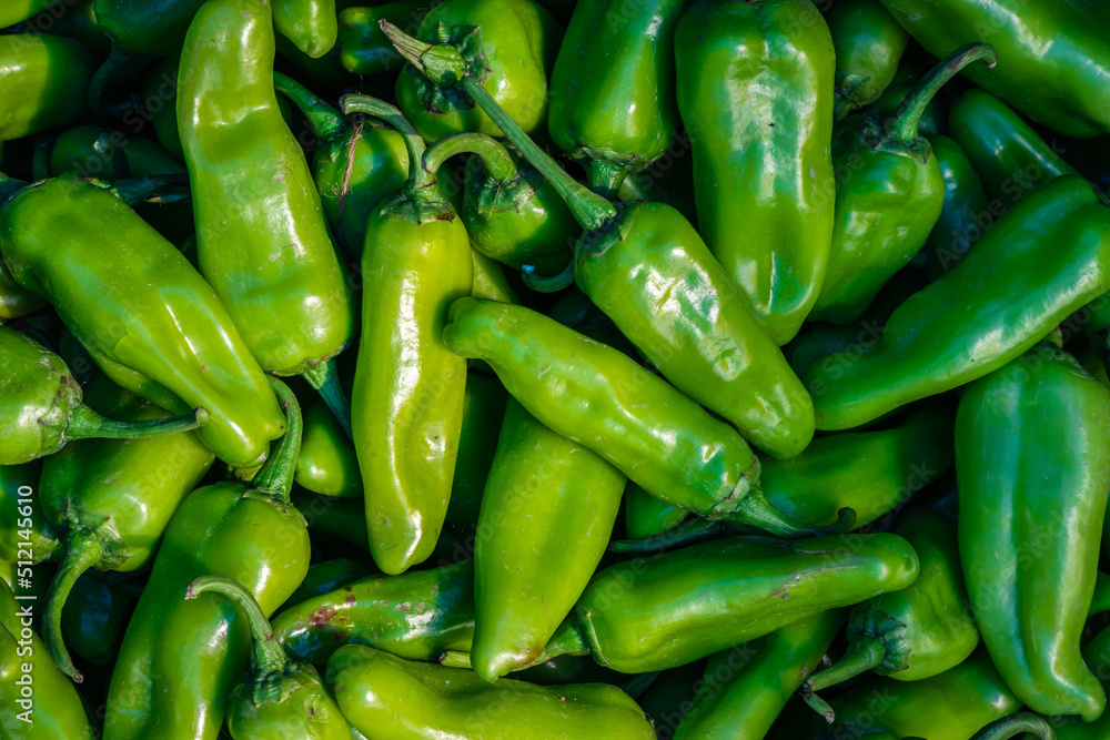 fresh organic green chilli from farm close up from different angle ...
