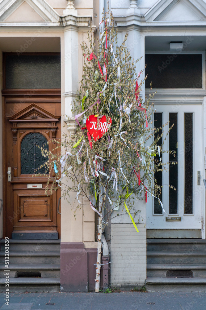 Maibaum in Bonn, Traditionally decorated birch tree as a Symbol of Love ...