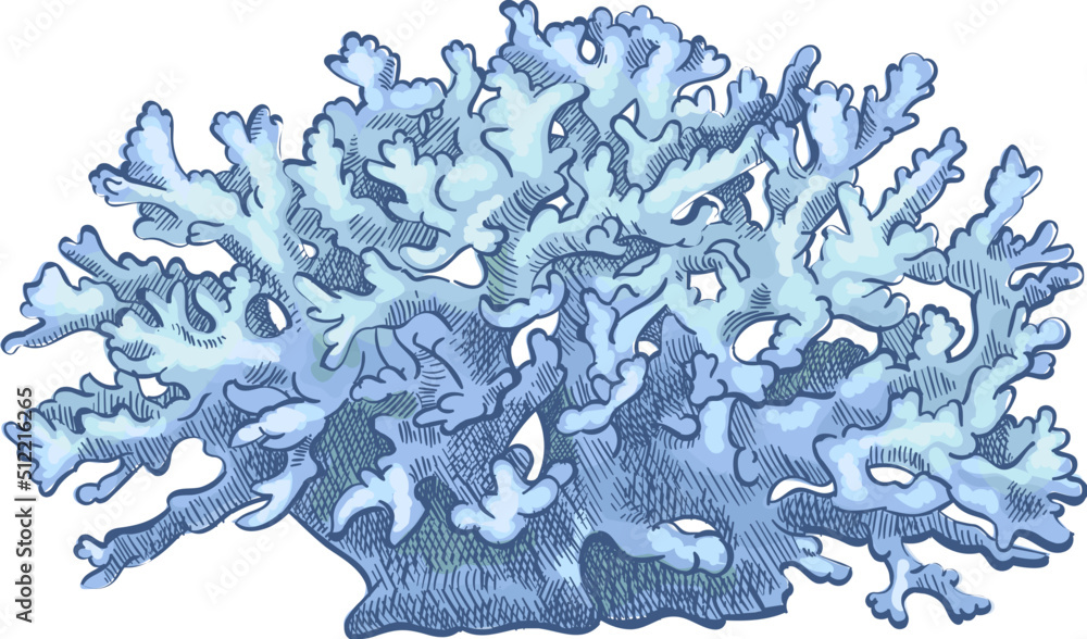 Blue reef coral Stock Vector | Adobe Stock