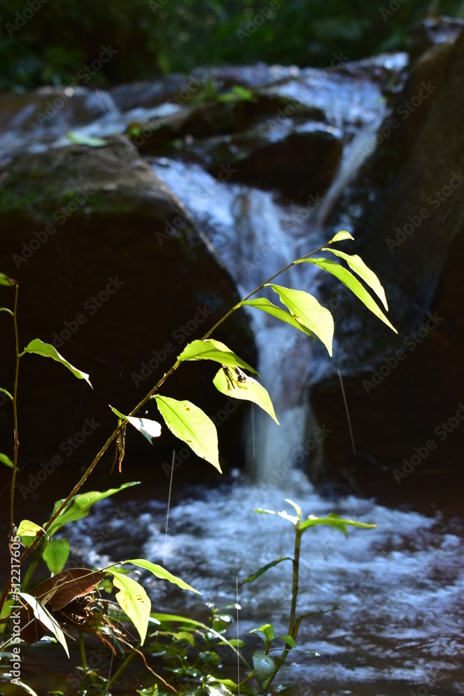water, waterfall, river, nature, stream, rock, cascade, stone, mountain ...