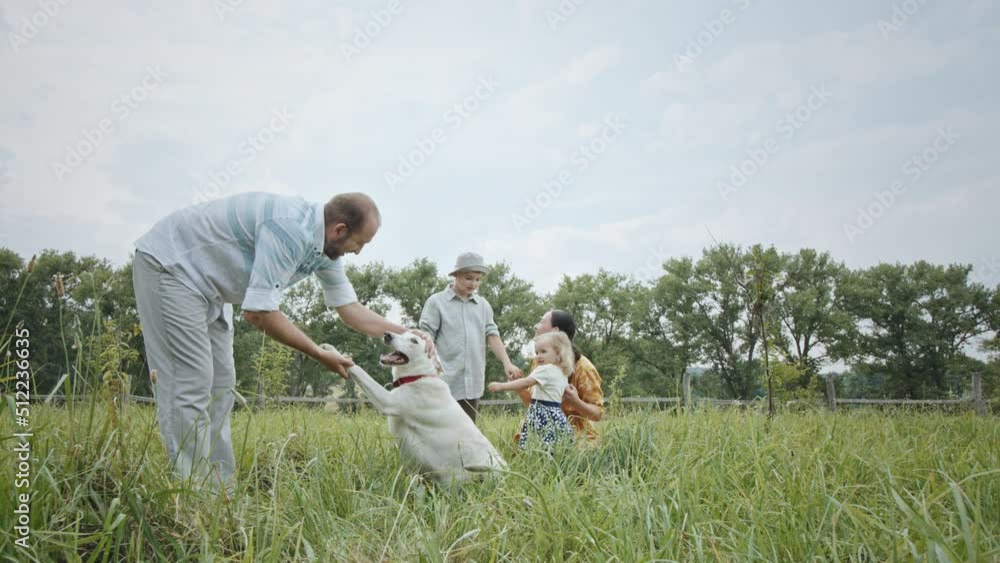 Dad training dog near family in field. Zoom in view of father shaking ...