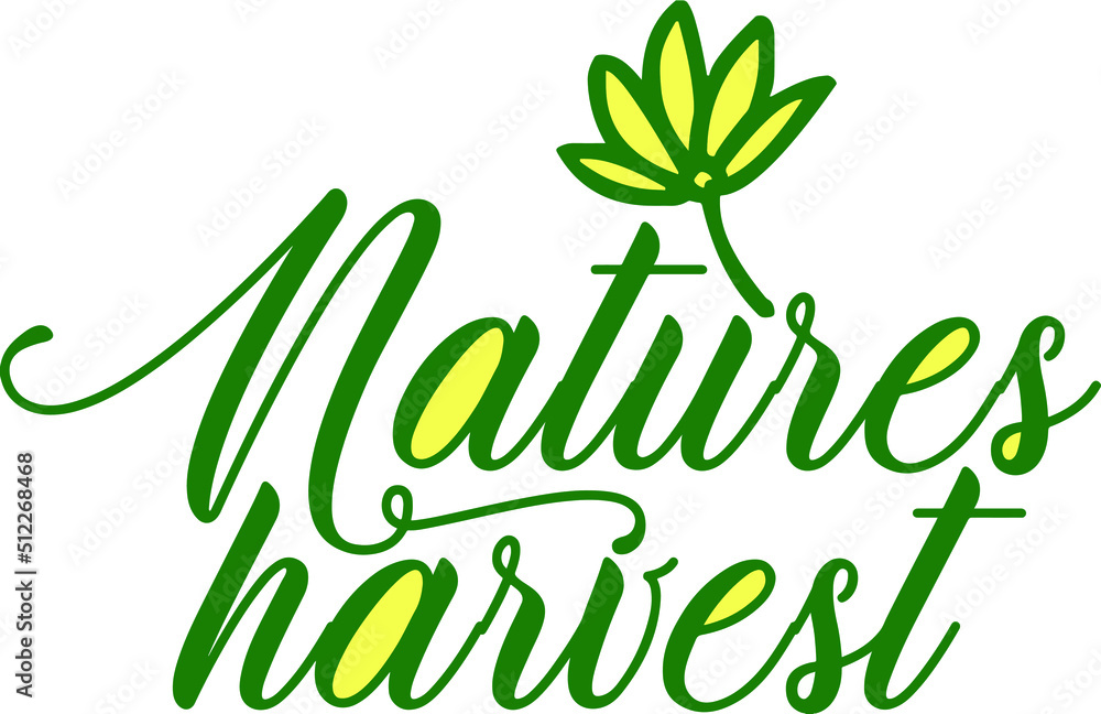 Nature Harvest logo, Harvest vector, Harvest symbol, crops illustration ...
