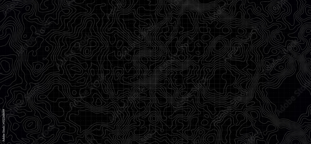 Photo & Art Print The stylized height of the topographic map contour in ...